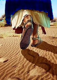 La Biblia para niños – Evangelio relatado | Reina del Cielo