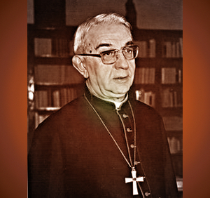 Película del Cardenal Vicente Enrique y Tarancón | Reina del Cielo